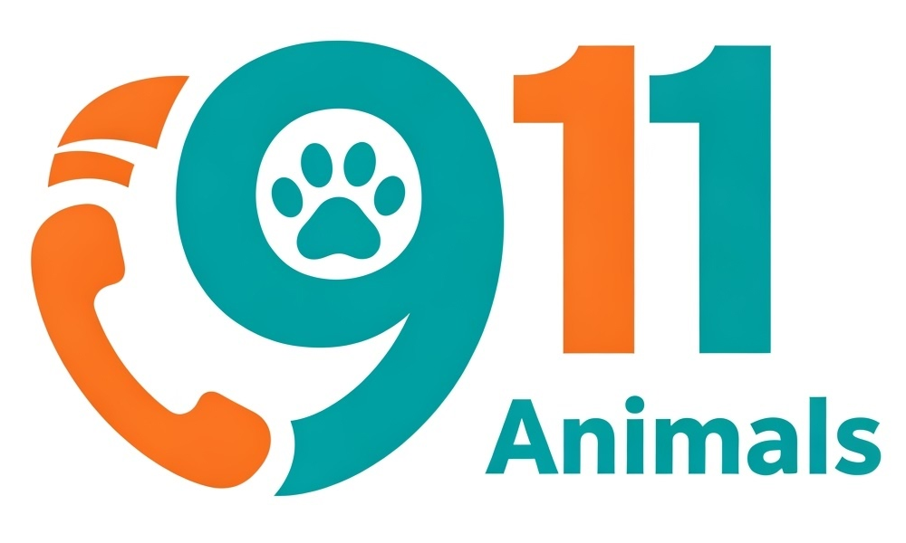 911 Animals | 반려동물을 위한 작은 한걸음